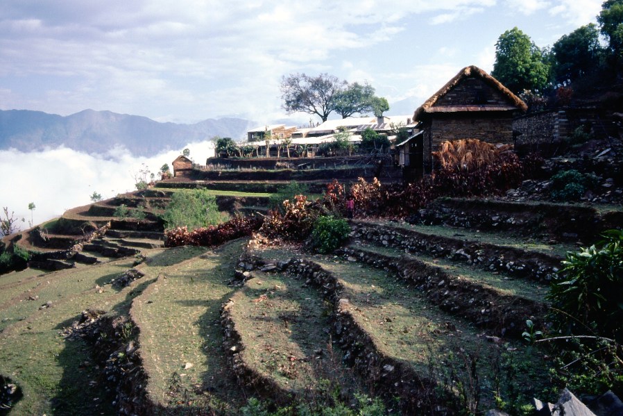 Doctor Helen | Byron Christopher